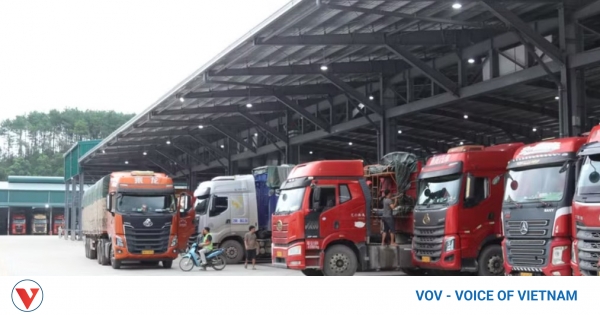 Customs revenue reaches 47.7% of annual target in five months