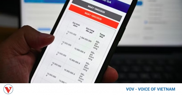 76 premium “.vn” domain names to be auctioned in second round