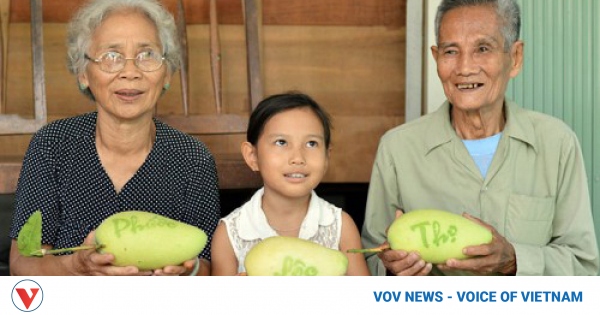 Growers of bizarre fruits worry over fickle weather as Tet draws near ...