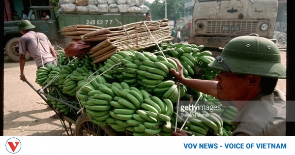 Vintage photos through the lens of Steve Raymer | VOV.VN